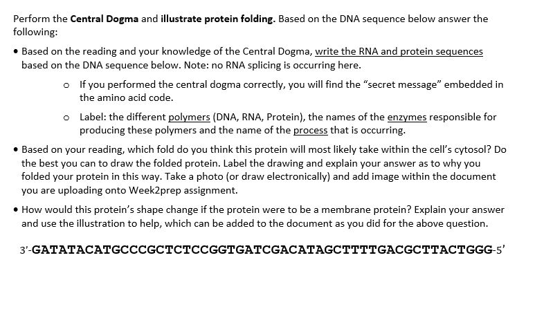 Solved Perform the Central Dogma and illustrate protein | Chegg.com