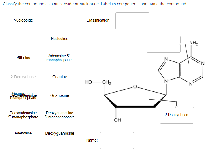 Solved Classify the compound as a nucleoside or nucleotide. | Chegg.com