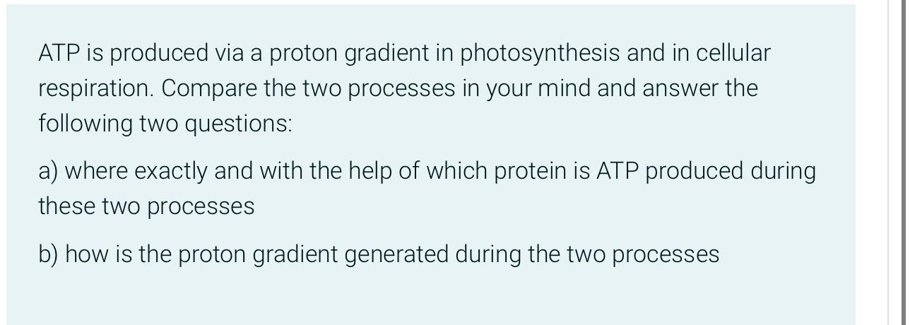 Solved ATP is produced via a proton gradient in | Chegg.com