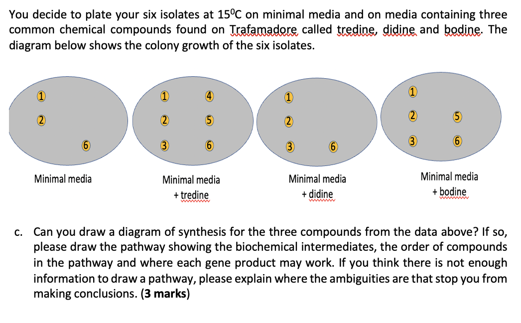 Solved You decide to plate your six isolates at 15°C on | Chegg.com