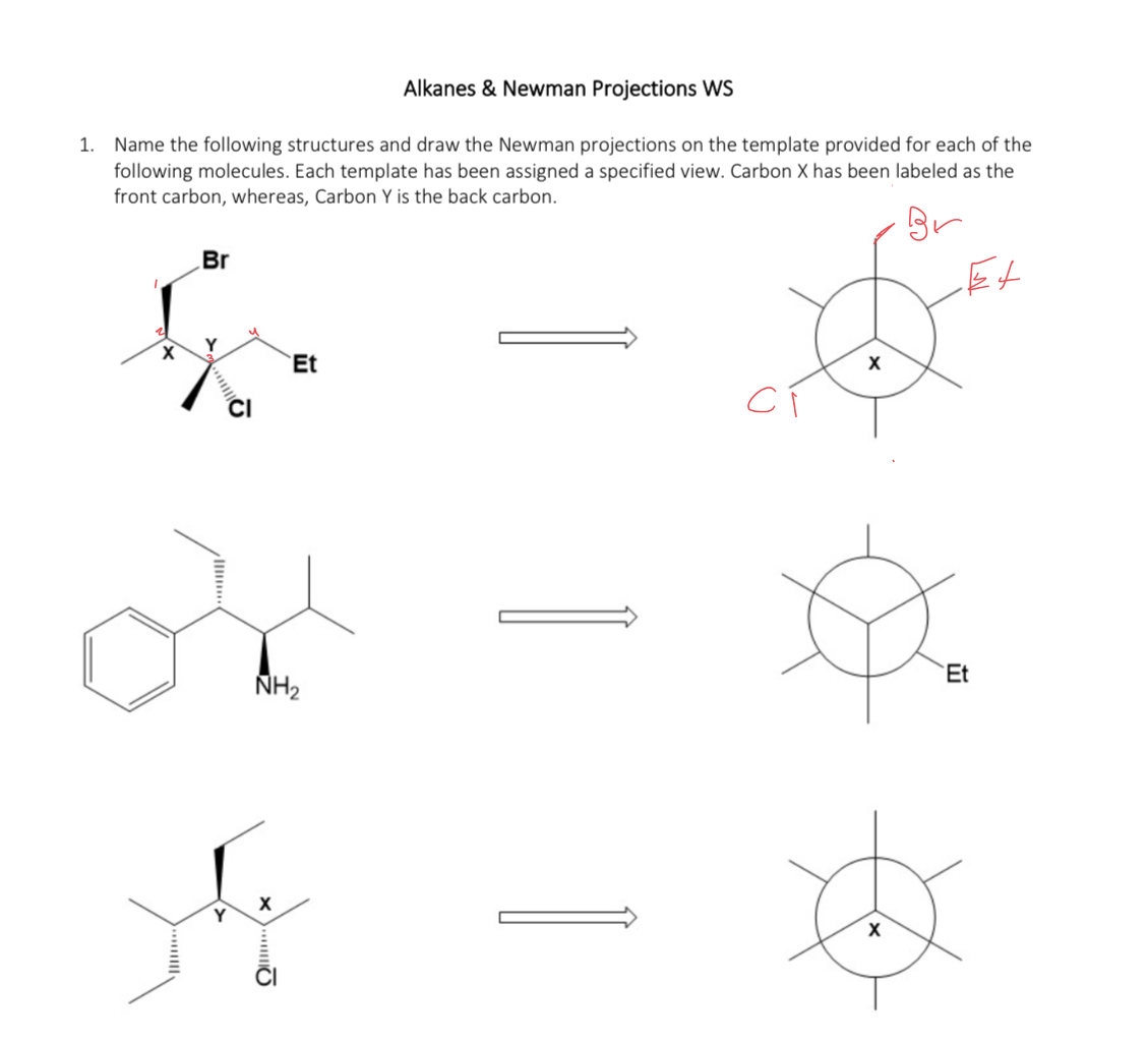 Solved Name the following structures and draw the Newman | Chegg.com