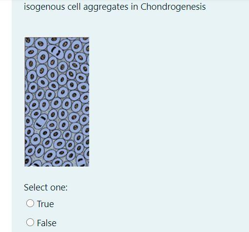 Solved isogenous cell aggregates in Chondrogenesis Select | Chegg.com