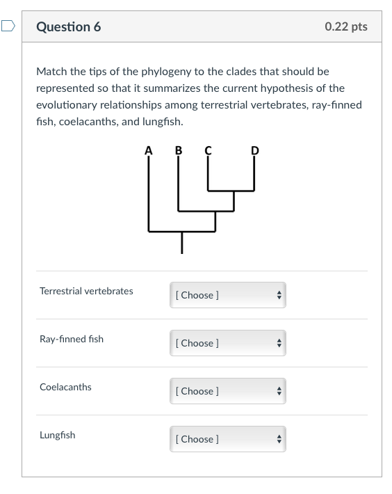 Solved Question 6 0.22 pts Match the tips of the phylogeny | Chegg.com