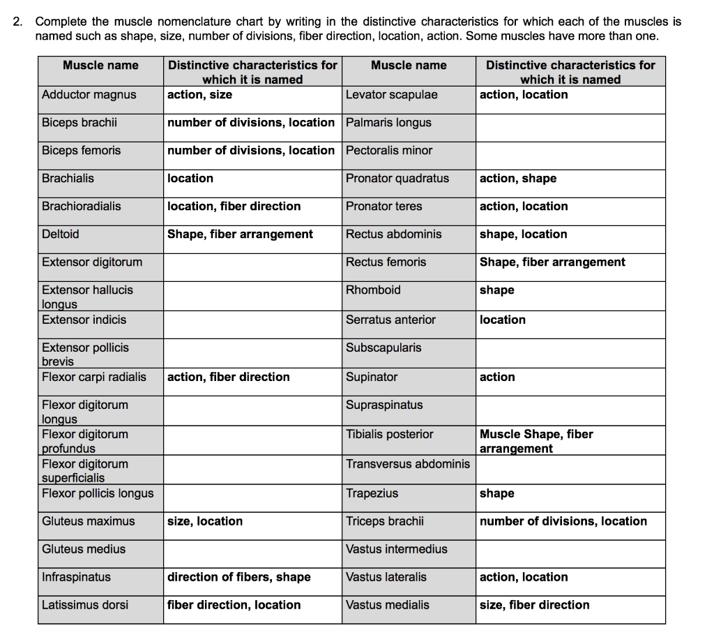 Solved 2. Complete the muscle nomenclature chart by writing | Chegg.com