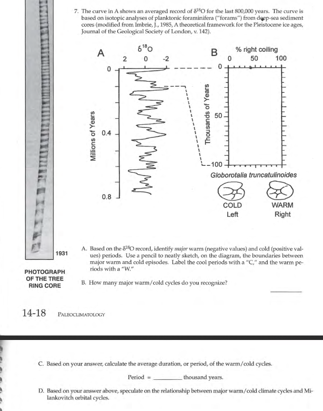 8. Some species of "forams" have coiled shells and | Chegg.com