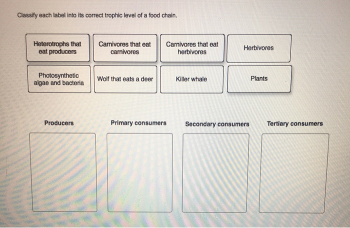 Solved Classify each label into its correct trophic level of | Chegg.com