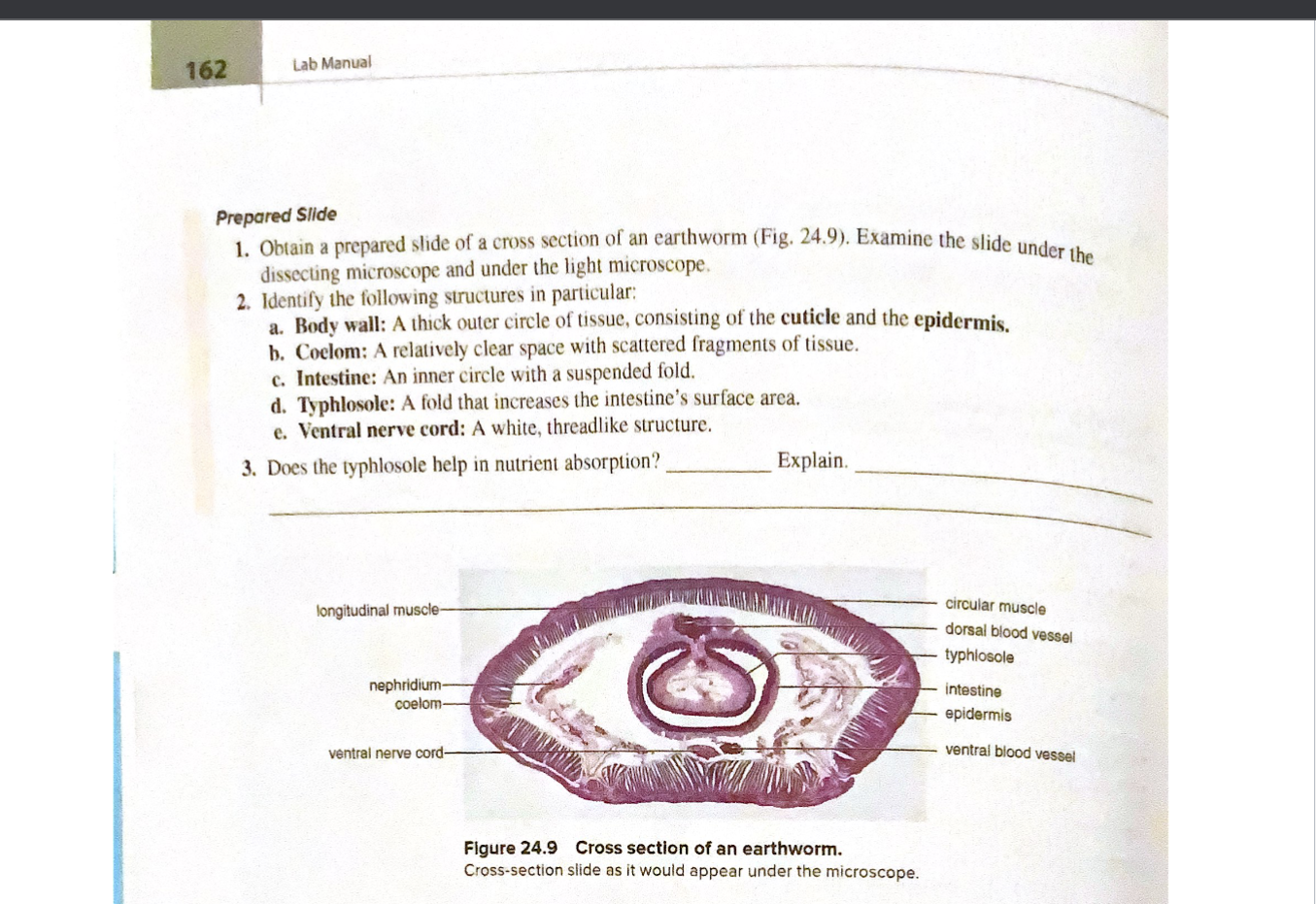 Solved Prepared Slide 1. Obtain a prepared slide of a cross | Chegg.com