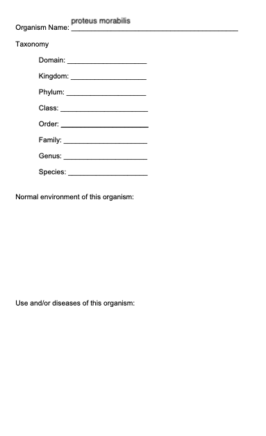 Solved proteus morabilis Organism Name: Taxonomy Domain: | Chegg.com