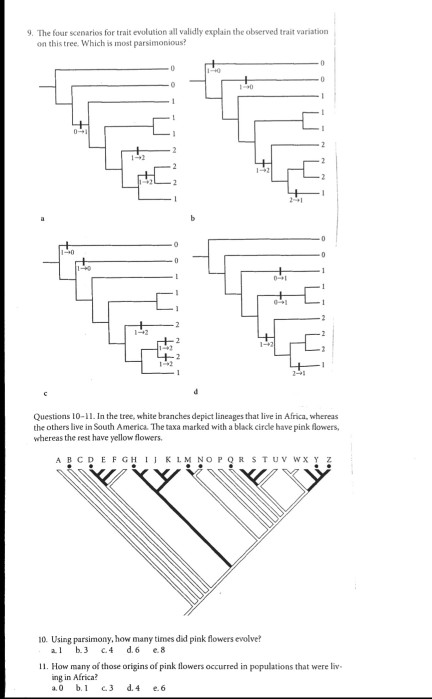 Solved 9. The four scenarios for trait evolution all validly | Chegg.com
