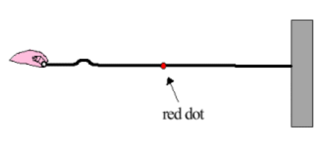 Solved A long, taut string is attached to a distant wall | Chegg.com
