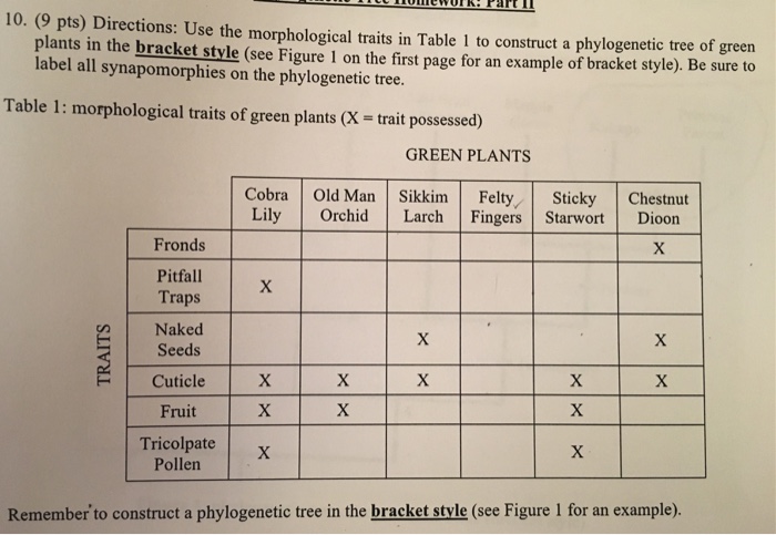 Solved Direction: Use the morphological traits in Table 1 to | Chegg.com