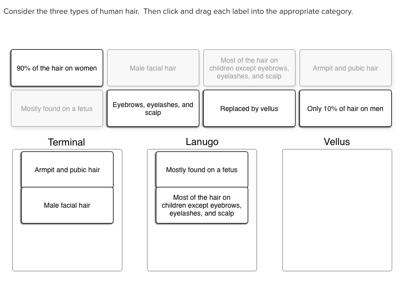 Solved Consider the three types of human hair. Then click | Chegg.com