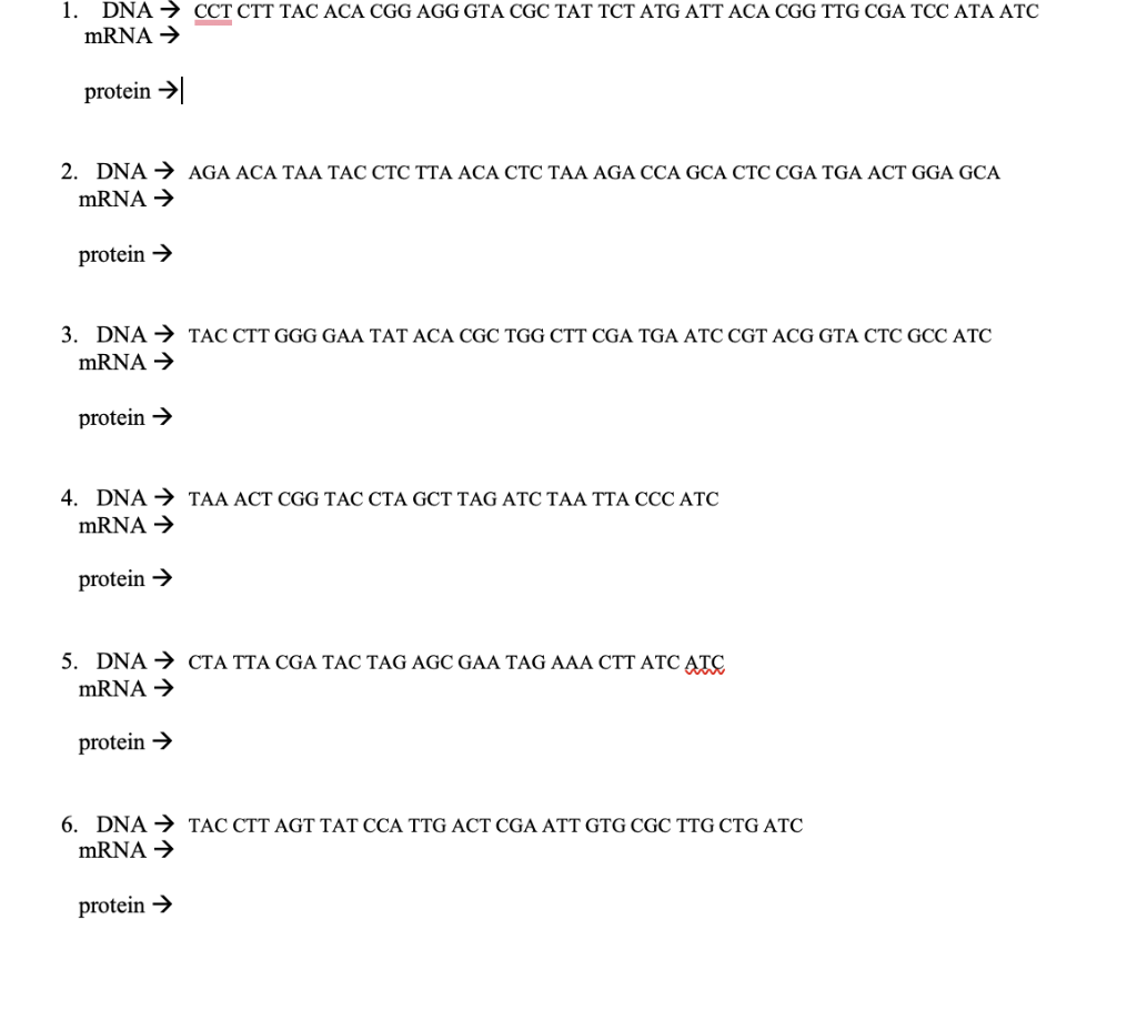 Solved 1. DNA → CCT CTT TAC ACA CGG AGG GTA CGC TAT TCT ATG | Chegg.com