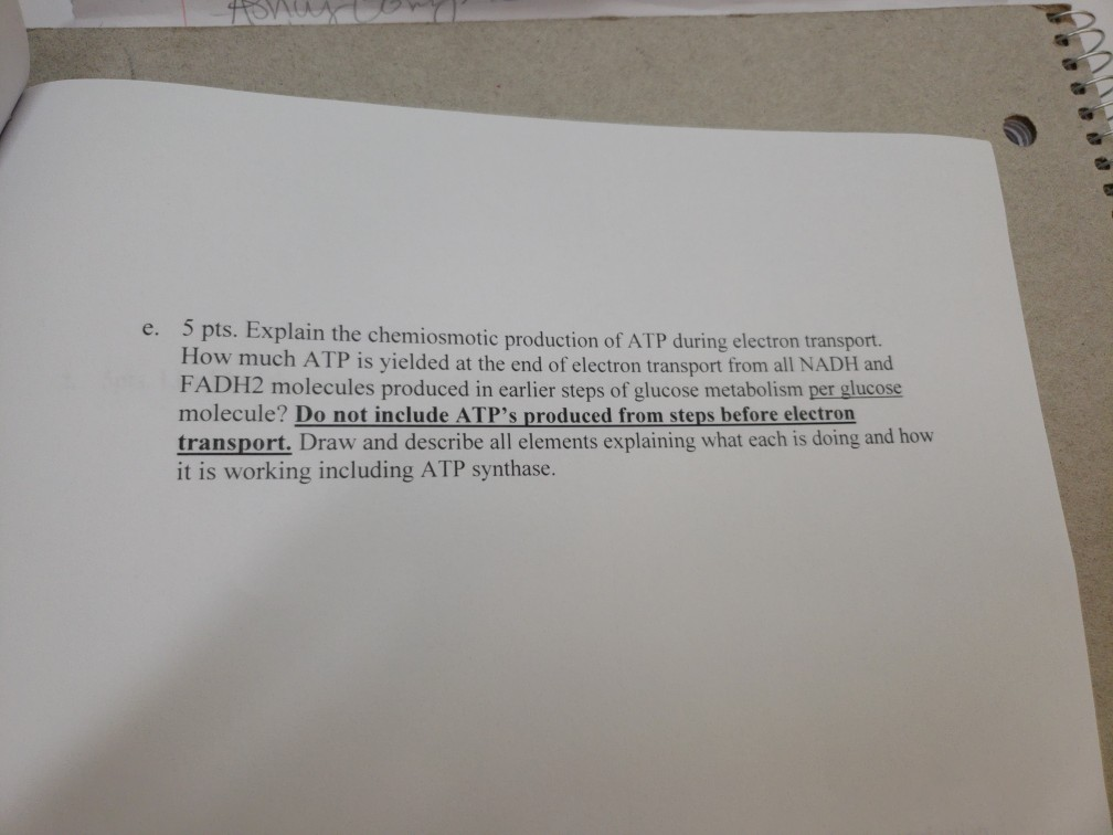 Solved 5 pts. Explain the chemiosmotic production of ATP | Chegg.com