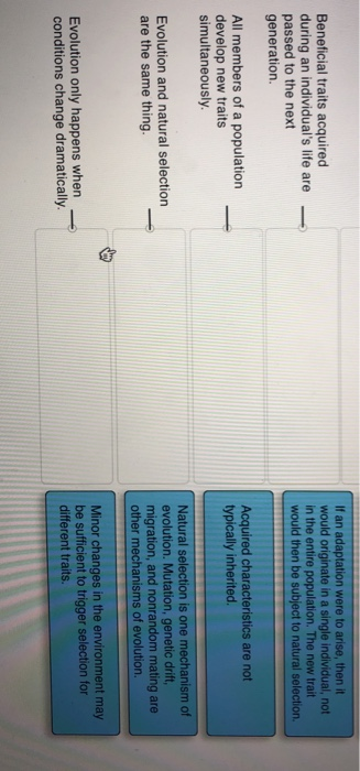Solved Misconceptions about evolutionary theory On the left | Chegg.com
