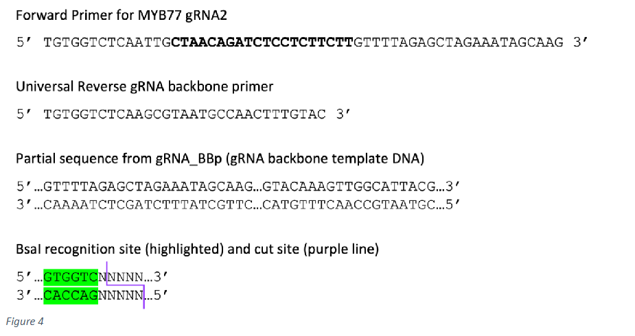 Solved Please explain the Figure below: Figure 4: Relevant | Chegg.com