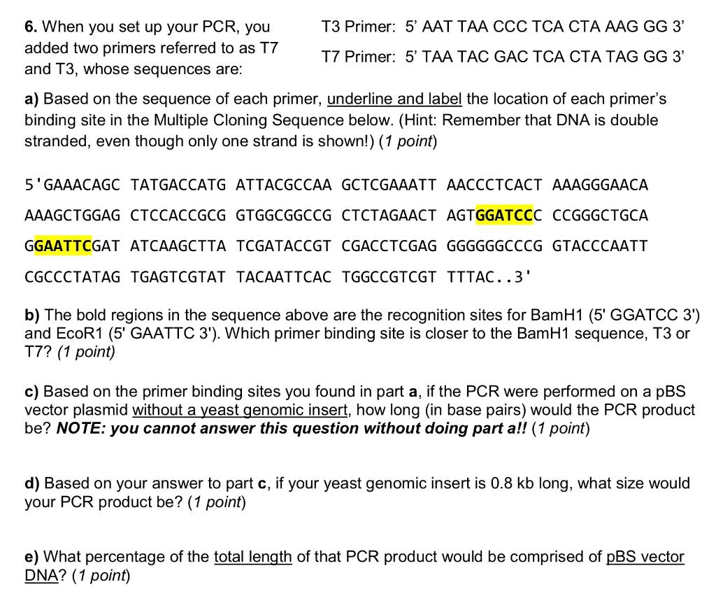 Solved 6. When you set up your PCR, you T3 Primer: 5' AAT | Chegg.com