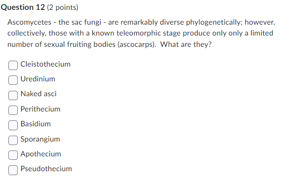 Ascomycetes - the sac fungi - are remarkably diverse | Chegg.com