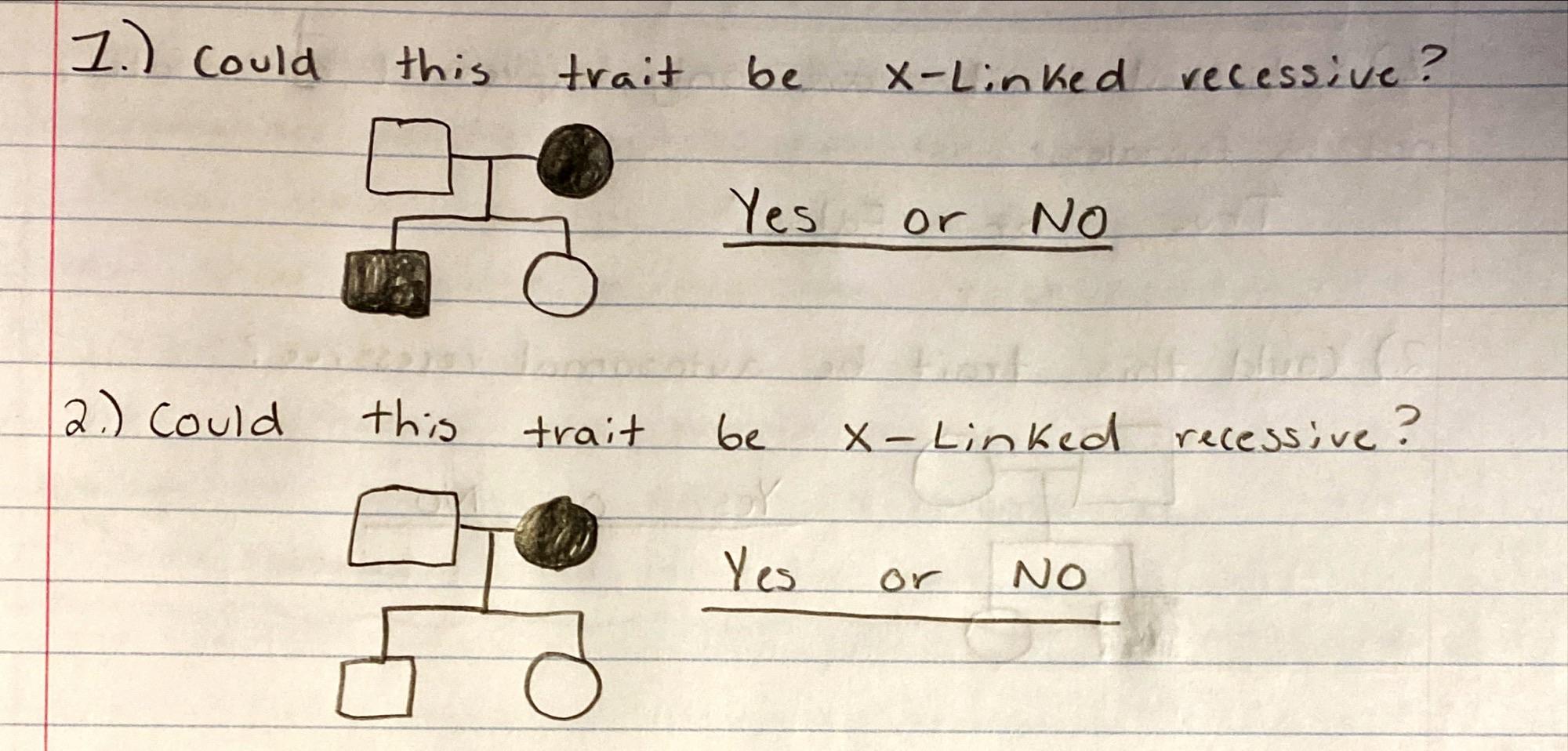 Solved 1.) could this trait be x-Linked recessive? Yes or No | Chegg.com