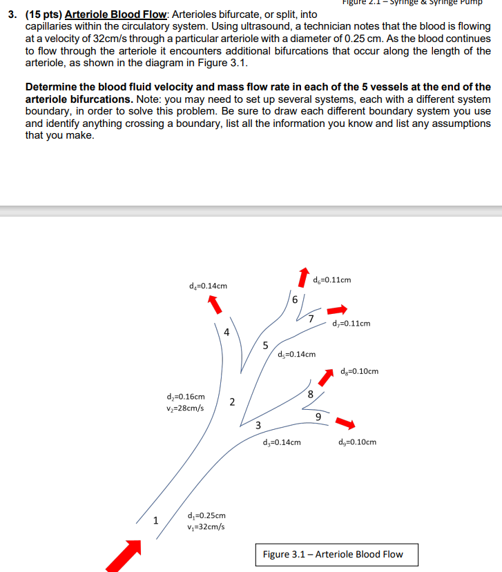 Solved (15 pts) Arteriole Blood Flow: Arterioles bifurcate, | Chegg.com