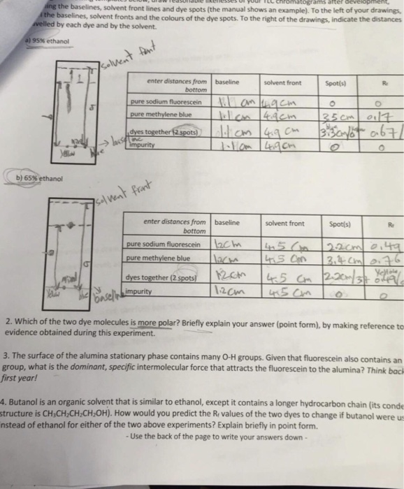 Solved the baselines, solvent front lines and dye spots (the | Chegg.com