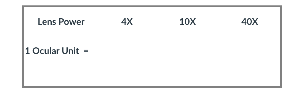 Solved Lens Power 4X 10X 40X 1 Ocular Unit = | Chegg.com