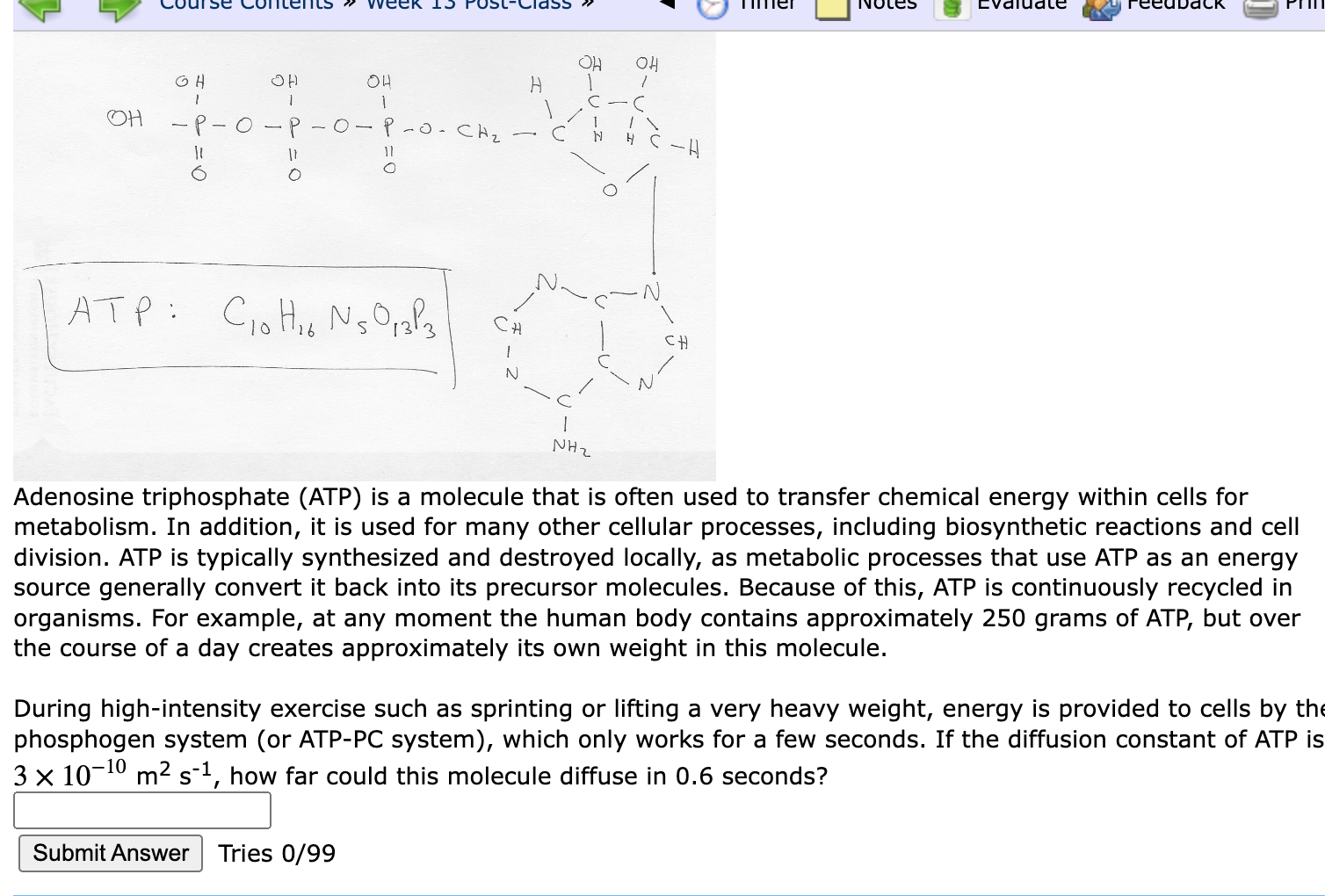 Solved Adenosine triphosphate (ATP) is a molecule that is | Chegg.com