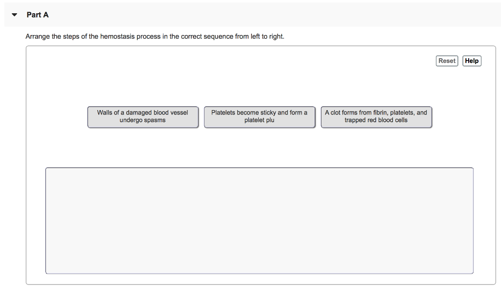 Solved Part A Arrange the steps of the hemostasis process in | Chegg.com