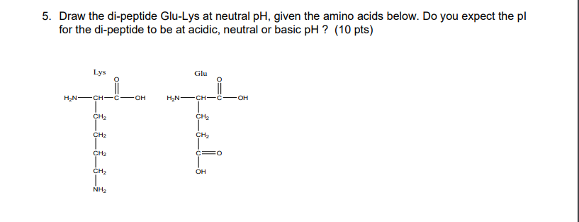 Solved 5. Draw the di-peptide Glu-Lys at neutral pH, given | Chegg.com