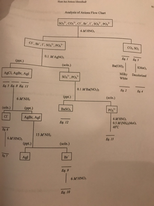 Qualitative Analysis Of Anions Flow Chart Scheme Of The Experimental