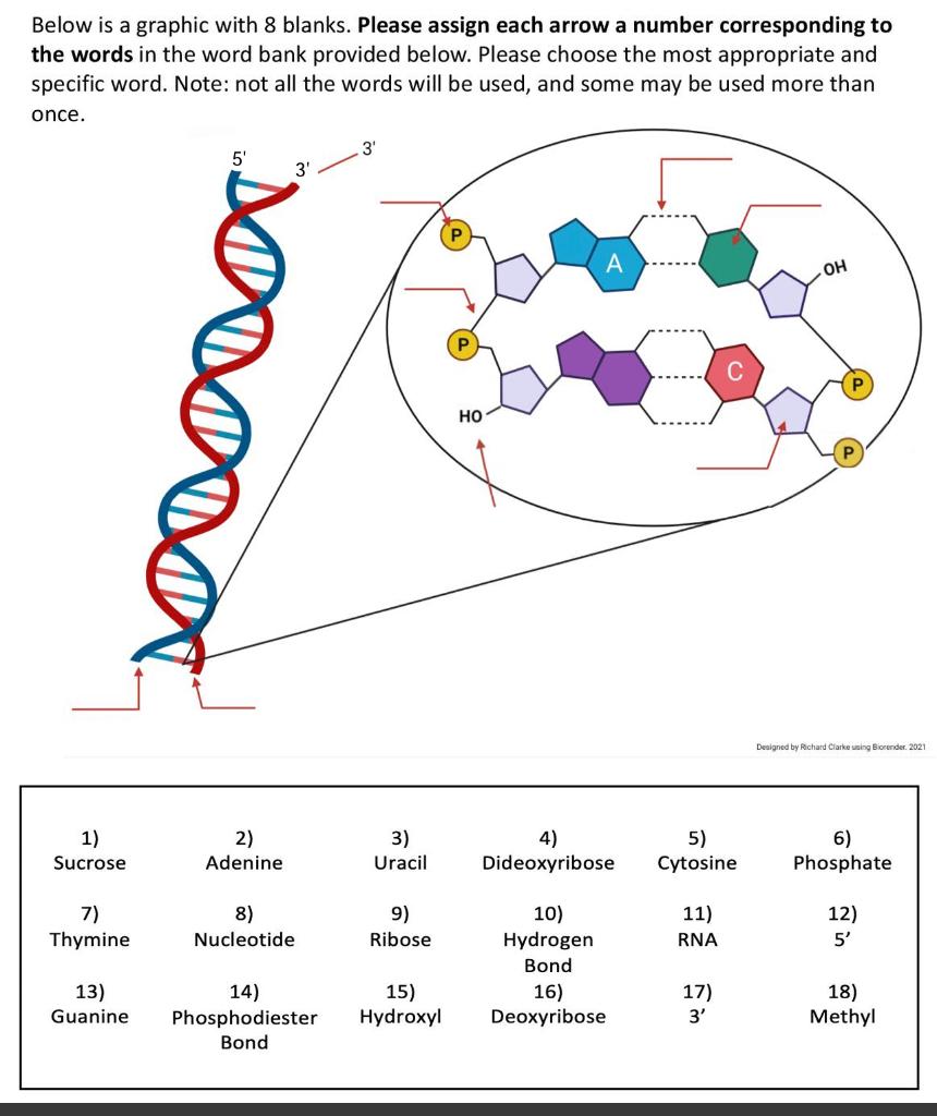 Solved Below is a graphic with 8 blanks. Please assign each | Chegg.com