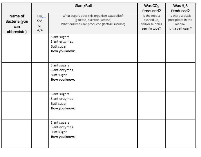 Solved \table[[ ﻿Name of ﻿ ﻿Bacteria (you ﻿ ﻿can | Chegg.com