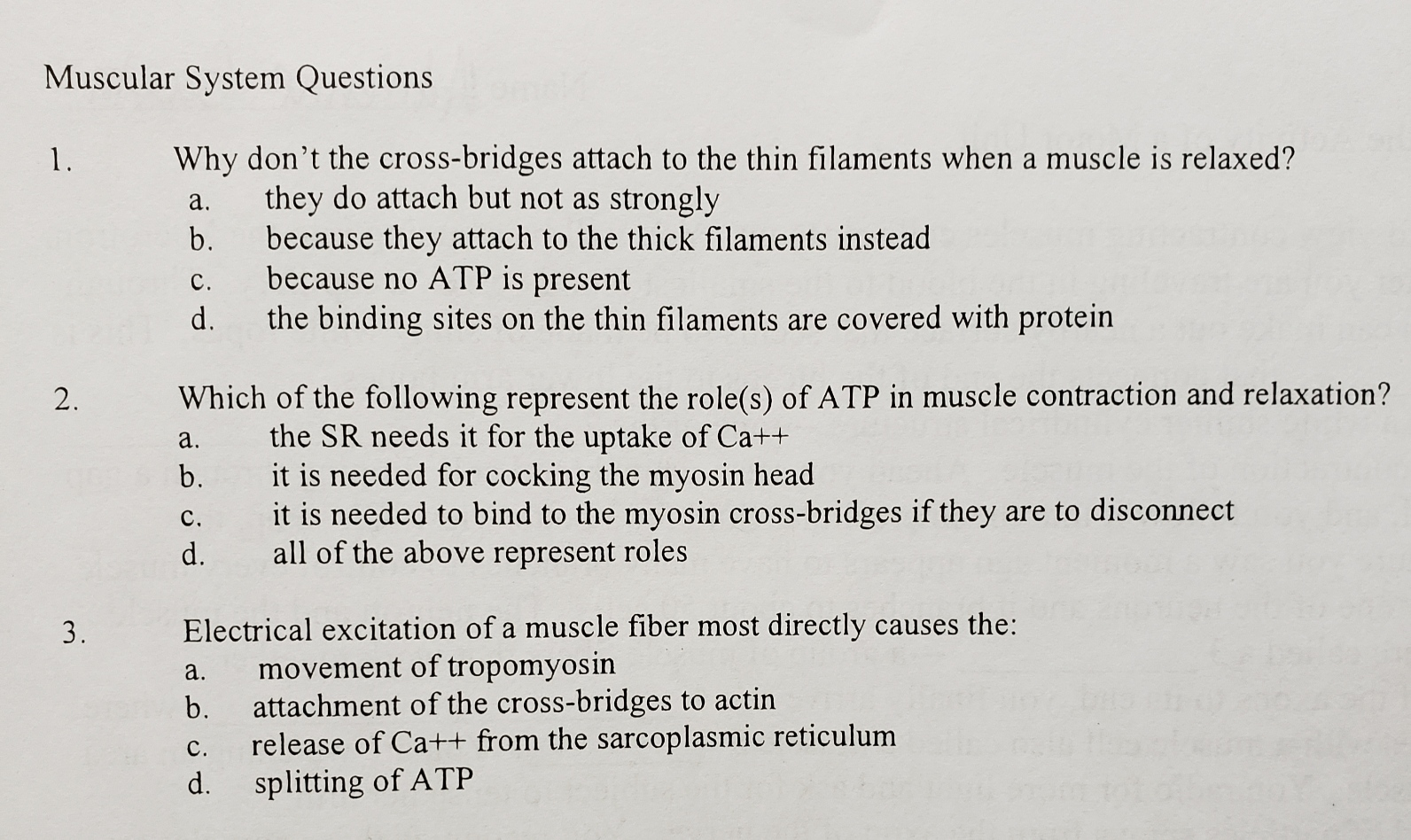 Solved Muscular System Questions 1. Why don't the | Chegg.com