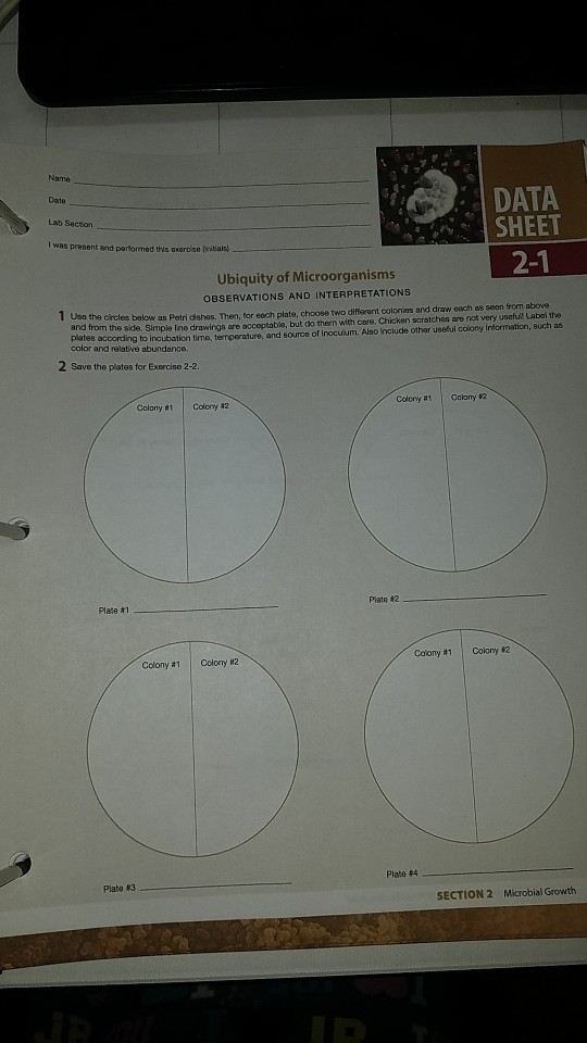 Name Date Lab Section DATA SHEET 2-1 I was present | Chegg.com