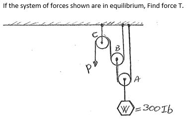 Solved If the system of forces shown are in equilibrium, | Chegg.com