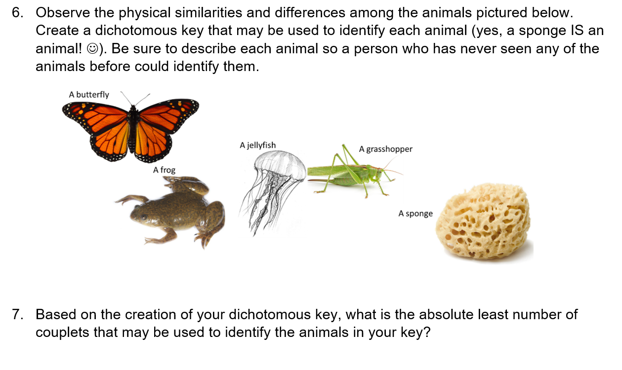 Solved 6. Observe the physical similarities and differences | Chegg.com
