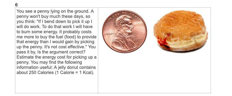 Solved You see a penny lying on the ground. A penny won't | Chegg.com