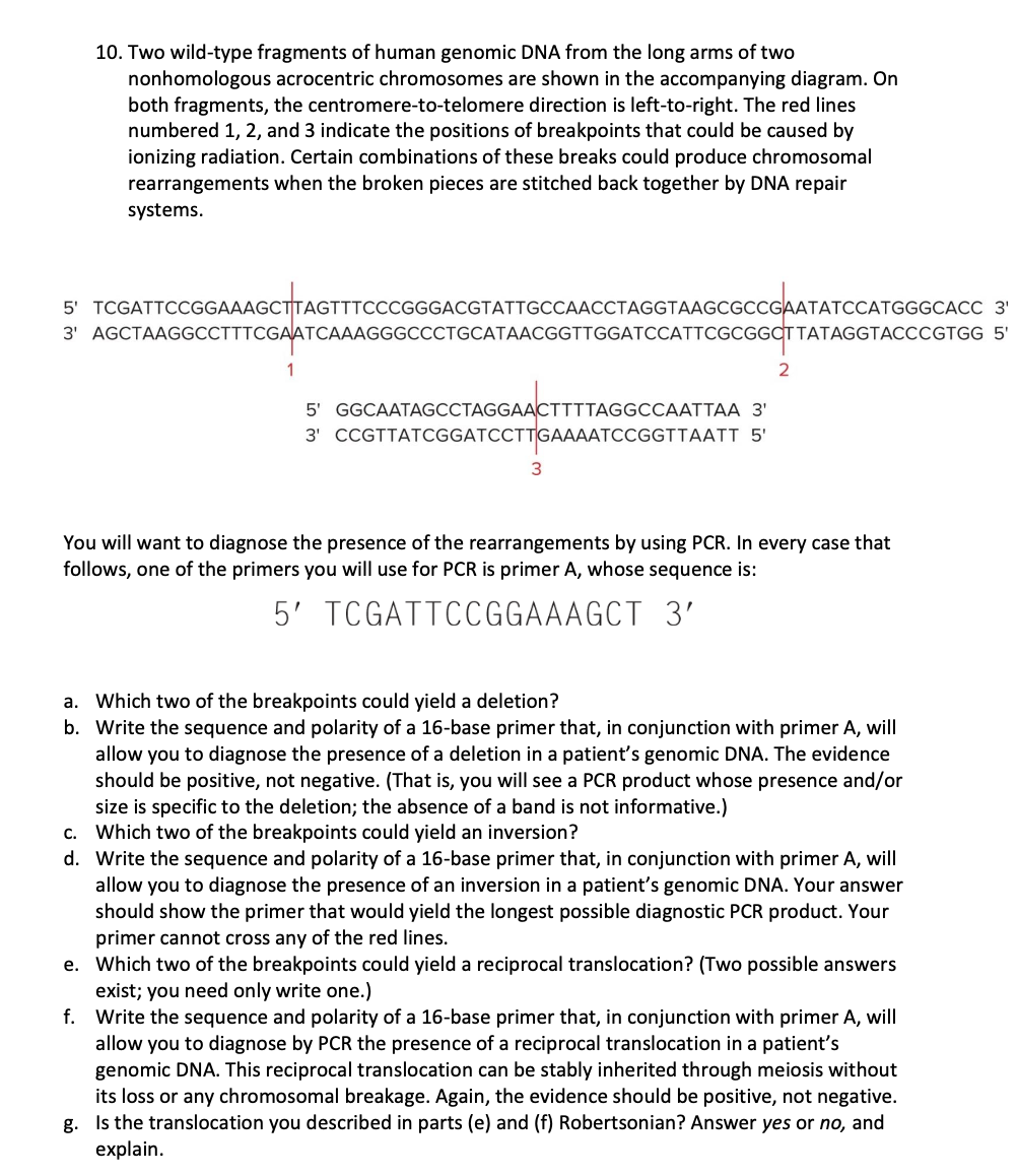 Solved 10. ﻿Two wild-type fragments of human genomic DNA | Chegg.com