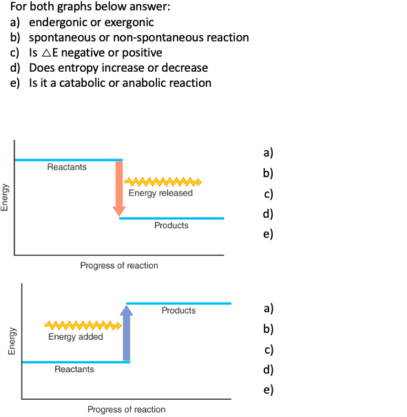 Solved For both graphs below answer: a) endergonic or | Chegg.com