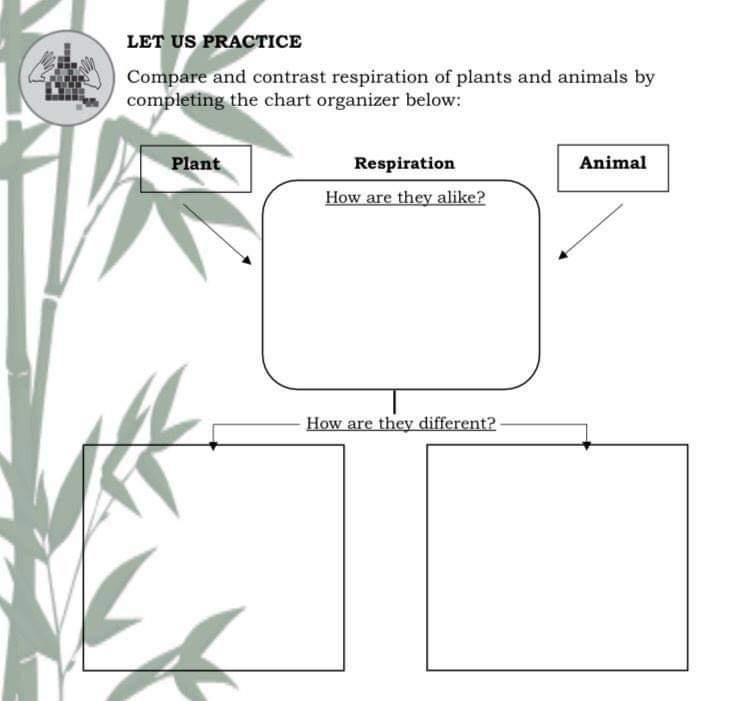 Solved Compare and contrast respiration of plants and | Chegg.com