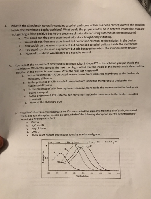 Solved Bio 61 Fall 2018 Practice questions for lab practical | Chegg.com Solved Bio 61 Fall 2018 Practice questions for lab practical | Chegg.com