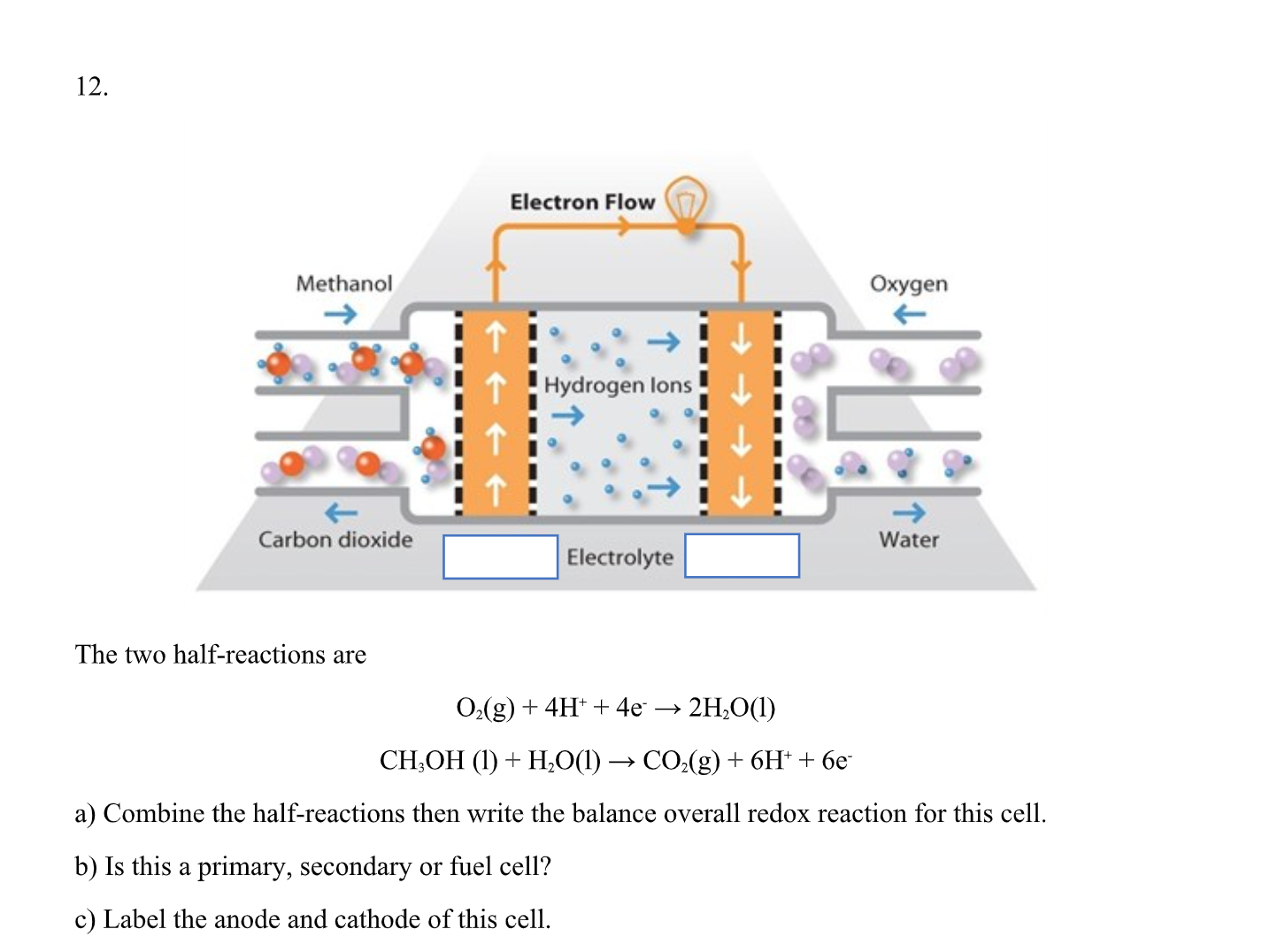 Solved The two half-reactions | Chegg.com