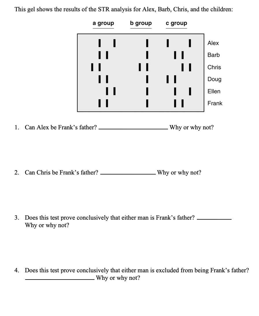 Solved This gel shows the results of the STR analysis for | Chegg.com
