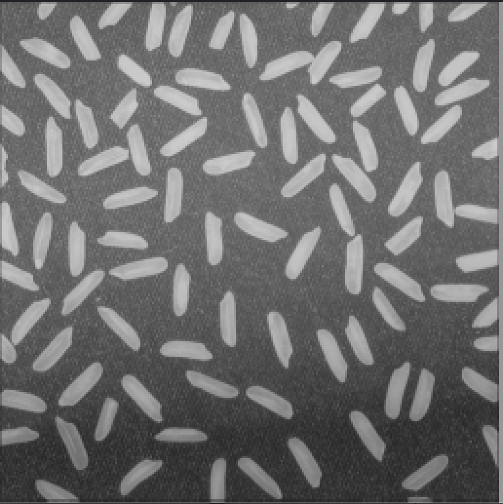 Solved Load the image ‘rice.tif’ image, display the image | Chegg.com