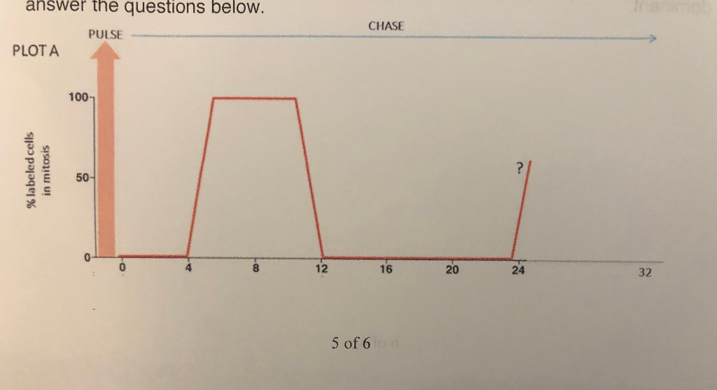 Solved 21. Early experiments investigating the cell cycle | Chegg.com