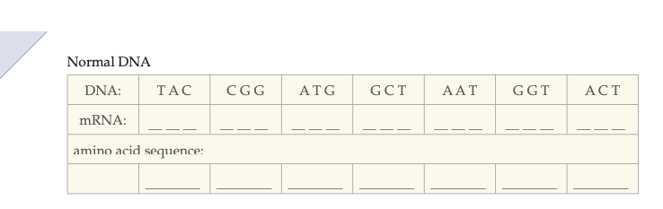 Solved Normal DNA DNA: TAC CGG ATG GCT AAT GGT ACT mRNA: | Chegg.com