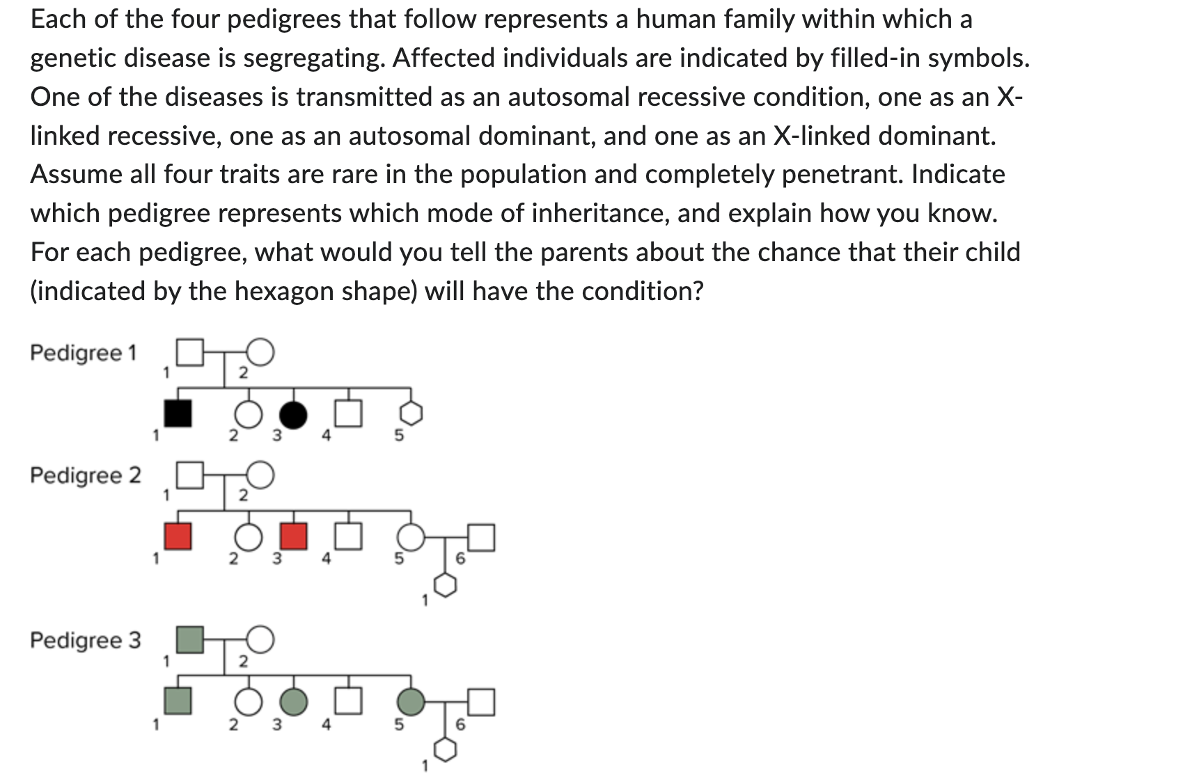 Solved Each of the four pedigrees that follow represents a | Chegg.com