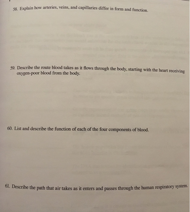 Solved plain how arteries, veins, and capillaries differ in | Chegg.com