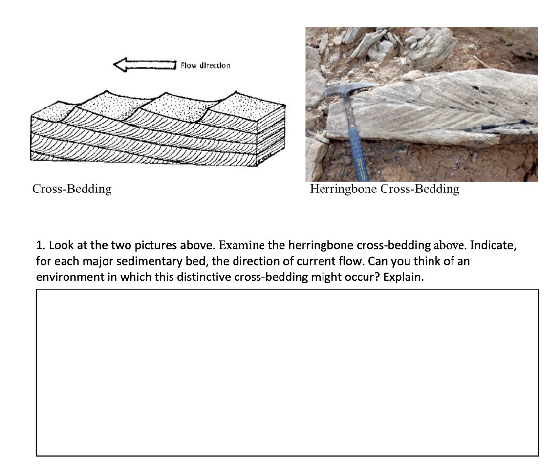 Solved Flow direction Cross-Bedding Herringbone | Chegg.com