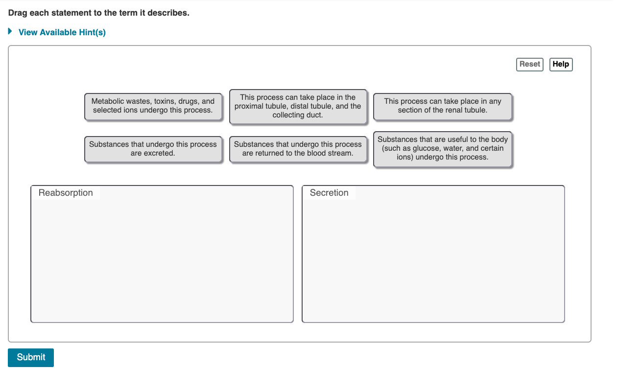 Solved Drag each statement to the term it describes. View | Chegg.com